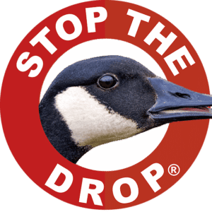 Flight Control Max | Goose Repellent | Get Rid Of Geese | Geese Deterrent