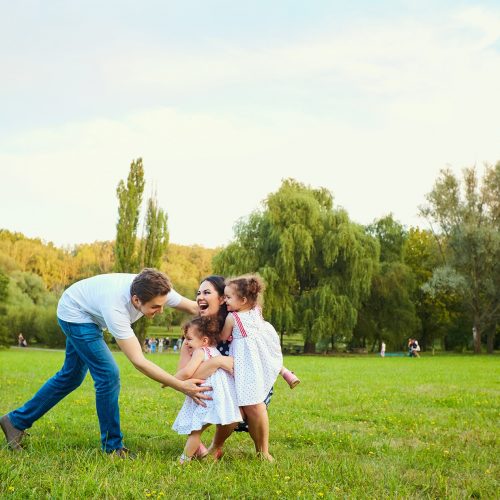 Flight Control Max | Effective and Eco-Friendly Goose Repellent